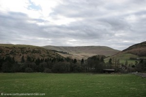 Hartside - Linhope Spout walk - northumberland-walks.co.uk (©)
